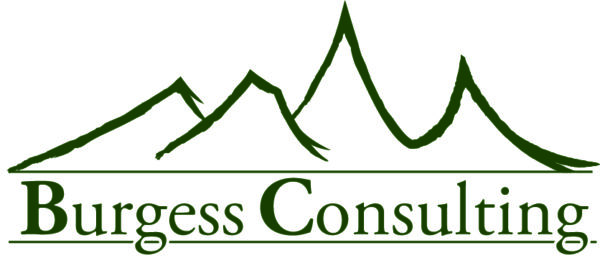 Burgess-Consulting-Logo | Richtr Financial Studio